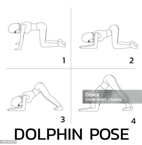 돌고래 포즈 요가 만화 튜토리얼 어떻게 만화 벡터 일러스트레이션 흑백 가냘픈에 대한 스톡 벡터 아트 및 기타 이미지 가냘픈