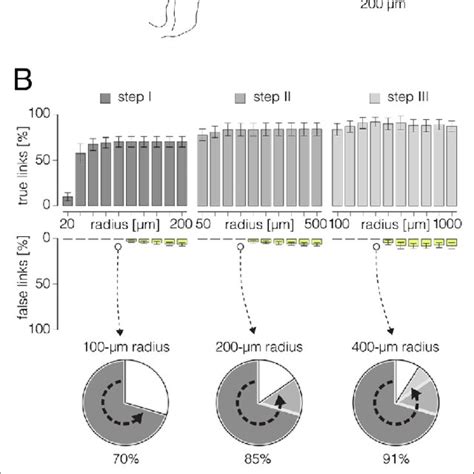 Performances Of The Algorithm For Reconstruction Of Axonal Functional