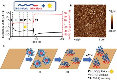 Coating Behavior Of Lpgs‐b‐bph In Presence Of The Chaotropic Salt Download Scientific Diagram