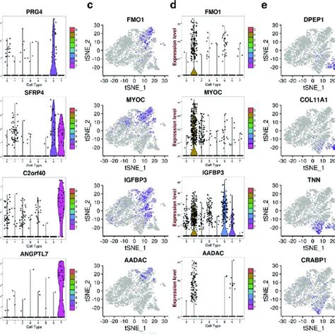Gene Expression By Fibroblast Subpopulations A C E Intensity Of Download Scientific