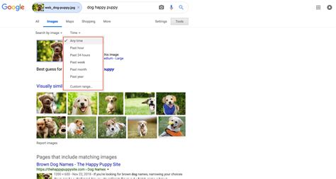 How To Use Google Reverse Image Search