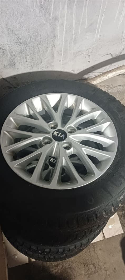 Дедовичи слухи и сплетни Нахамили 2024 ВКонтакте