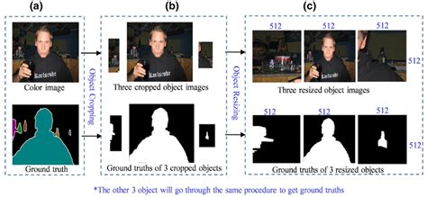 Data Preprocessor With Cropping And Resizing Processes Download Scientific Diagram