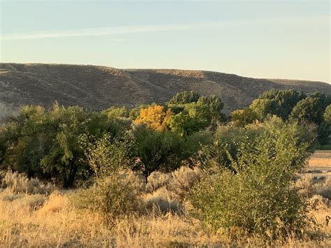 Redemptive Compassion®