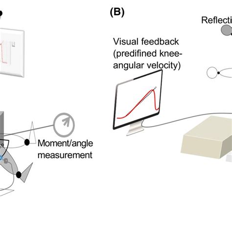 Illustration Of The Measurement Setup In The Isokinetic Dynamometer A Download Scientific
