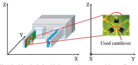 Positional Relationship Between The Sensor And The Cantilever Direction
