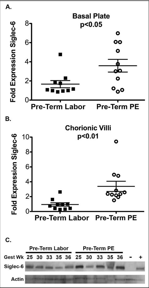 Figure 1 From Siglec 6 Expression Is Increased In Placentas From Pregnancies Complicated By