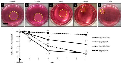 A Hydrogel Derived From Decellularized Dermal Extracellular Matrix Abstract Europe Pmc