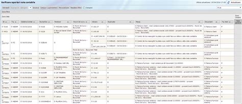 Contabilitatepivotverificare Raportari Note Contabile Docs