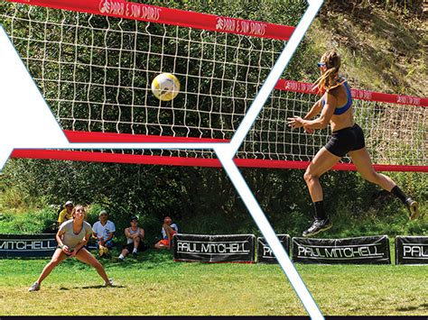Cobra Portable Volleyball Net System