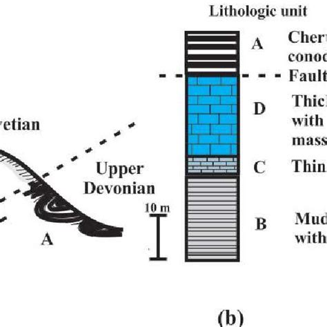 Generalised Stratigraphic Column Showing Postulated Fault Contact