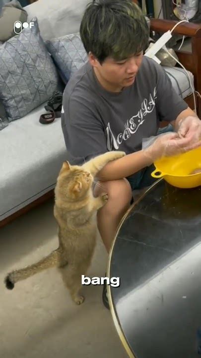 Minta Dikit Boleh 😭😹 Youtube