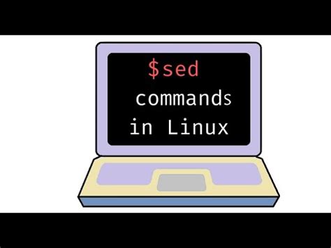 Tutorial Unix SED Basic Commands Interview Questions Unix Tutorial English Beginners
