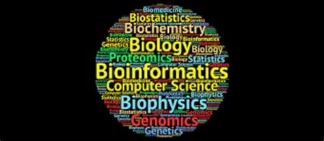 Bioinformatics Research Services At ₹ 10000 Month In Nagpur Id 2852937355673