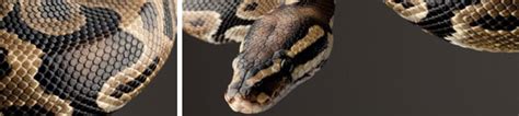 GitHub pjandl opy1 Oficina Python 1 Básico