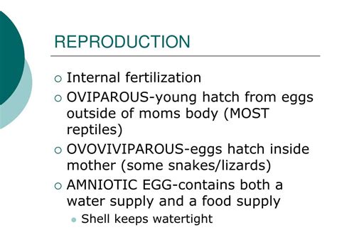 PPT REPTILES PowerPoint Presentation Free Download ID 1460216