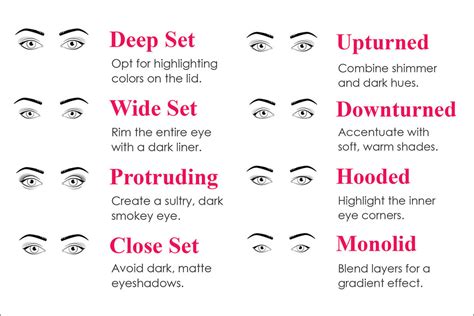 Go To Makeup Products For All Different Eye Shapes Camera Ready Cosmetics