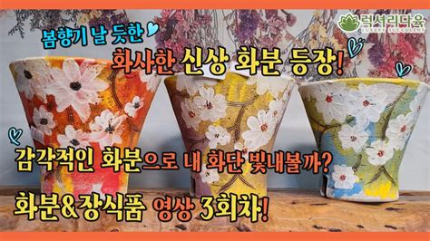 봄향기 날 듯한 신상 다육화분 감각적인 화분and장식품 3회차 럭셔리다육 안성 다육화분 화분판매 Youtube