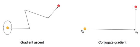 Conjugate Vector At Collection Of Conjugate Vector