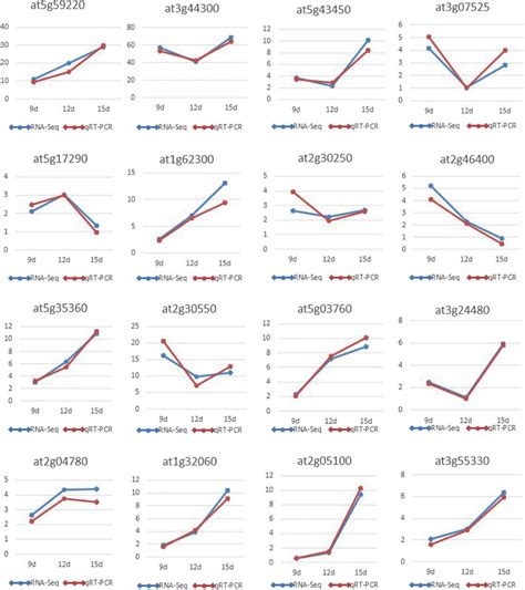 Quantitative Real Time Qrt Pcr Validation Of 16 Differentially