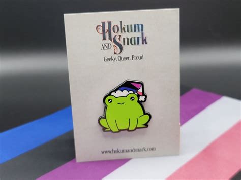 Genderfluid Pride Frog Pin Cute Gay Frog Enamel Pin In Beanie Or Santa