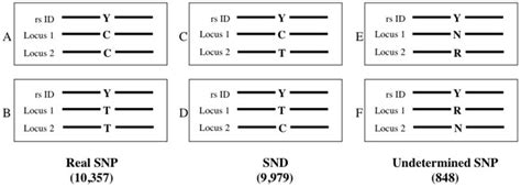 Single Nucleotide Differences SNDs In The DbSNP Database May Lead To Errors In Genotyping And