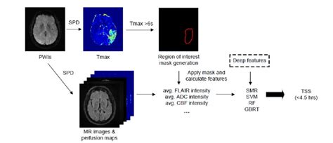 An Overview Of Steps To Predict Tss Download Scientific Diagram