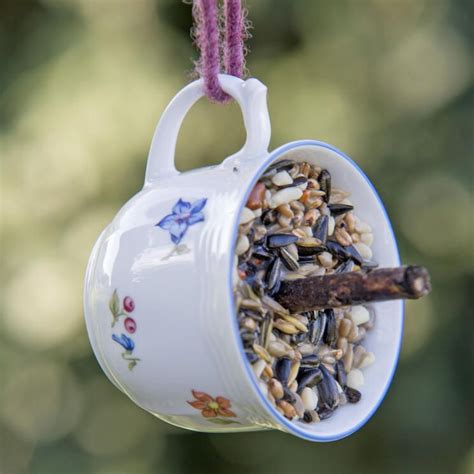 Vogelfuttertassen Basteln So Leicht Gehts Gartendesign Ideen Gartendeko Selbstgemacht