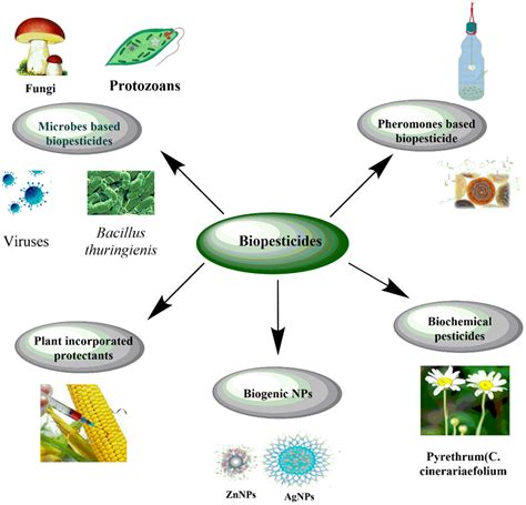 Types Of Biopesticides Download Scientific Diagram