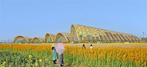 Structurecraft On Linkedin Longspan Efficiency