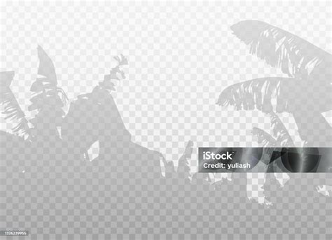 투명 한 배경에 고립 된 바나나 야자 수 숲 벡터 사실적인 그림자 흐림 없이 자연스러운 실루엣 이국적인 열대 풍경 Eps10 0명에 대한 스톡 벡터 아트 및 기타 이미지