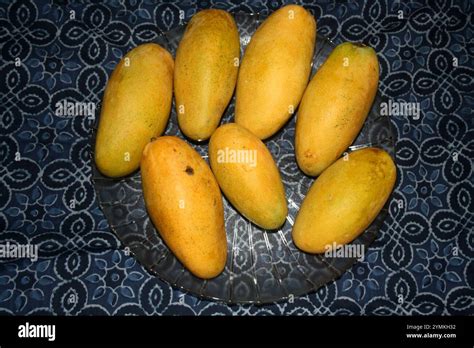 Dasheri Mango Cultivar Of Mango Manera Indica On Display Stock