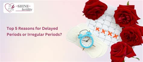 Top 5 Reasons For Delayed Or Irregular Periods Shinefertility