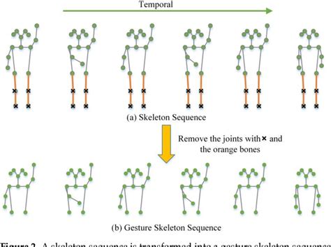 Figure 2 From Traffic Police Gesture Recognition Based On Gesture Skeleton Extractor And