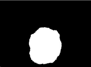 Samples Of Images Before And After Pre Processing Download Scientific Diagram