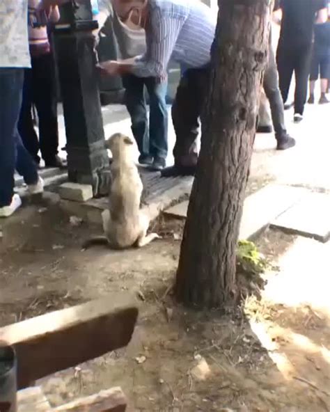 Dr P Ravindranath Cmc Cmc Af Posted On Linkedin