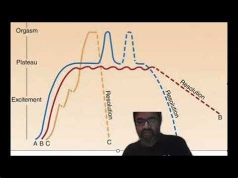 Female Sexual Response Cycle YouTube