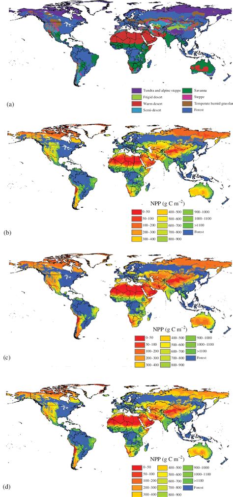 Global Spatial Pattern Of The Potential Biome And The Grassland Npp For Download Scientific