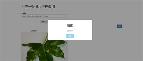 树叶识别系统pythondjango网页界面tensorflow算法模型数据集图像识别分类 个人文章 Segmentfault 思否