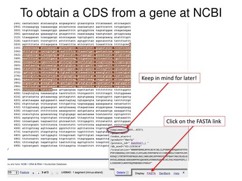 ppt mcb 5472 lecture 2 feb 3 14 powerpoint presentation free