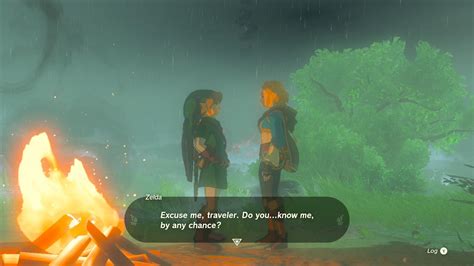 [totk] Ive Never Met You In My Life Lady R Zelda