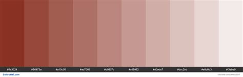 Tints Of Burnt Umber Color 8a3324 Hex Hex Color Palette Jazz Colors