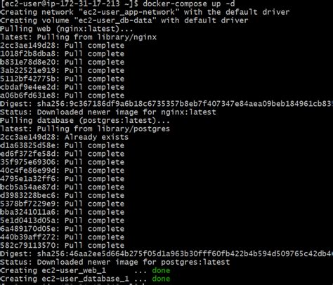 Docker Compose Yaml Explained A Deep Dive Into Configuration