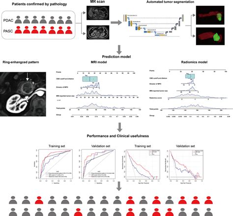 The Workflow Of The Two Models Download Scientific Diagram