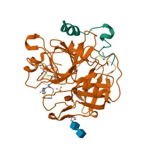 Rcsb Pdb 8ase Crystal Structure Of Thrombin In Complex With