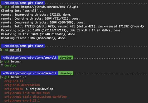 Git Clone Command From Basic Usage To Advanced Techniques Datacamp