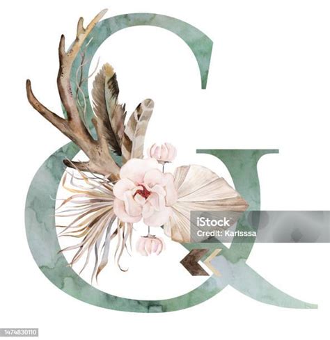 수채화 녹색 기호 앰퍼샌드 뿔 말린 잎과 열대 꽃 꽃다발 보호 그림 베이지에 대한 스톡 벡터 아트 및 기타 이미지 베이지 크리스마스 0명 Istock