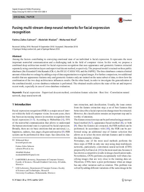 pdf fusing multi stream deep neural networks for facial expression