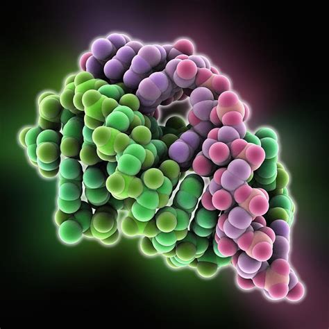 Biotin Binding Rna Molecule Photograph By Science Photo Library Fine