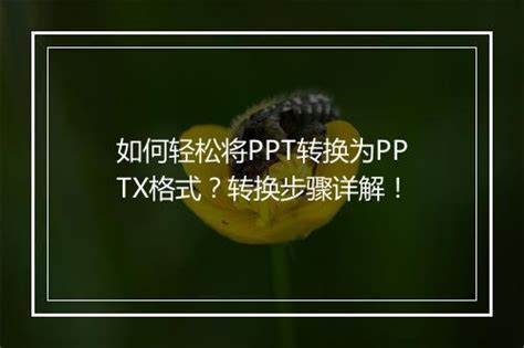 Ppt中对号怎么插入?如何快速找到对号位置? 8104办公软件 Ppt中对号怎么插入?如何快速找到对号位置? 8104办公软件